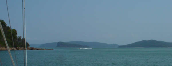 Sydney Sheller Single Issue